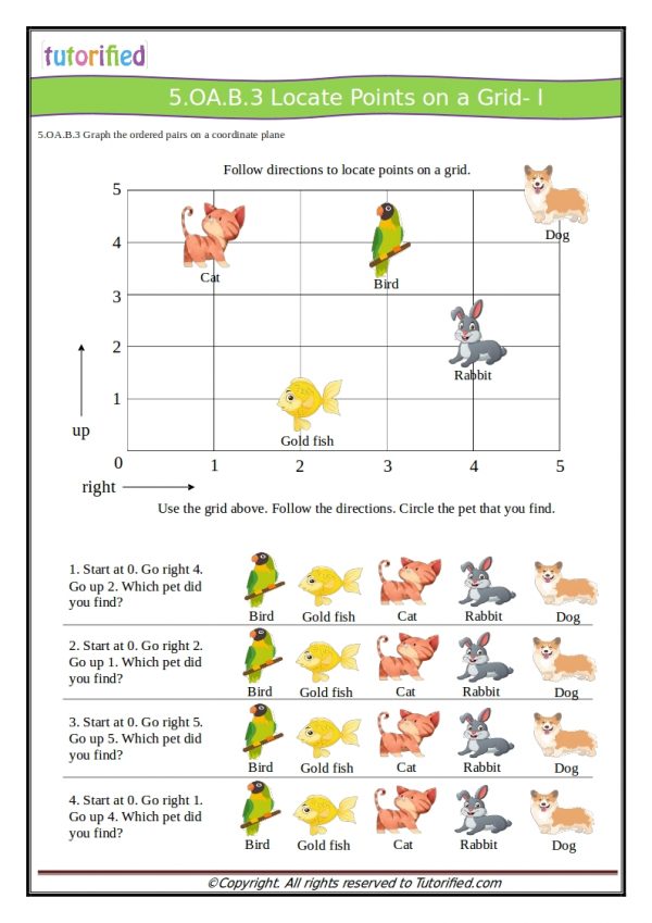 5th Grade Common Core Math Worksheets