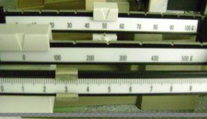 5th Grade MAP Practice Test Science : Set 1 | Tutorified : Tutoring ...