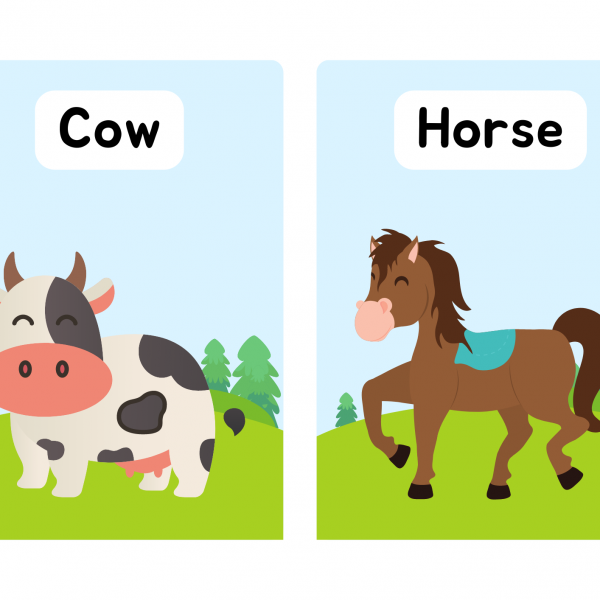 Free Kindergarten Sight Words Worksheets Printable PDF