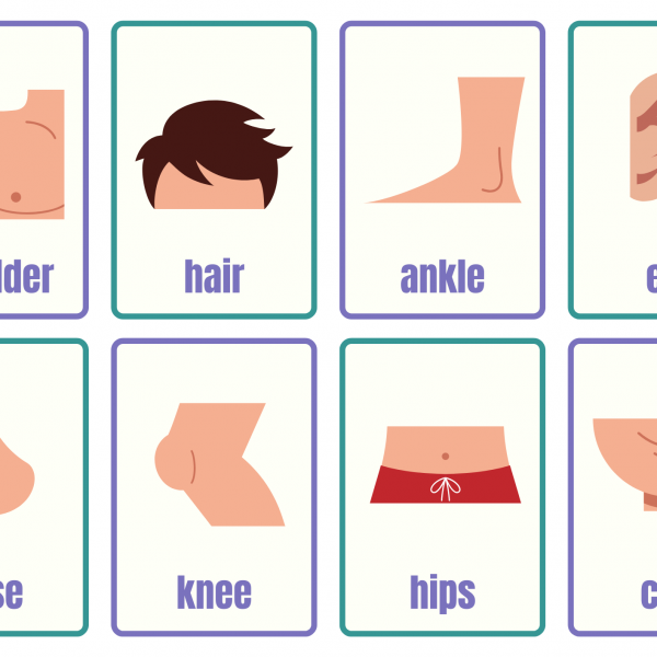 Free Kindergarten Sight Words Worksheets Printable PDF