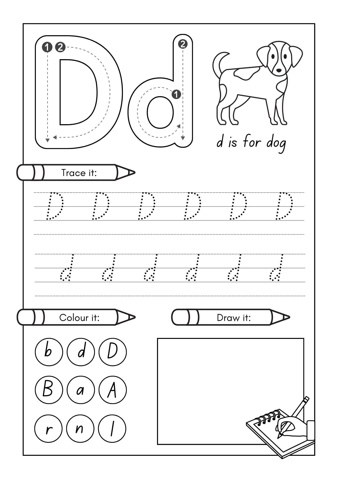 Letter D Activities for Toddler, Preschool & Kindergarten Printable PDF